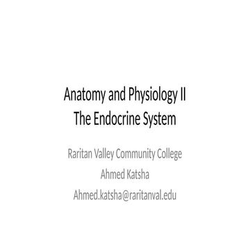 Endocrine system PowerPoint presentation | PPT
