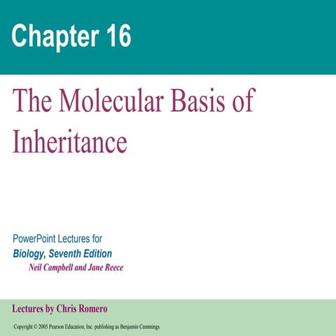 Chapter 16 molecular inheritance | PPT