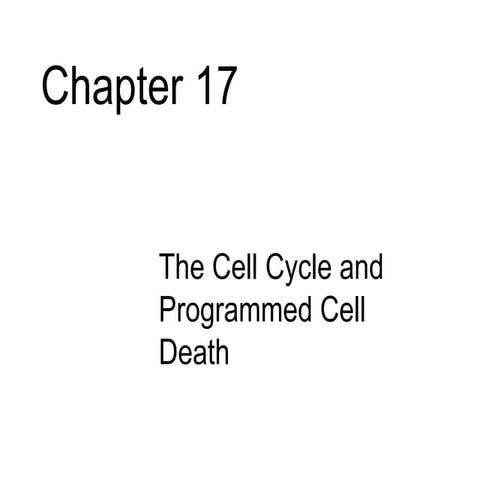 Chapter17 | PPT