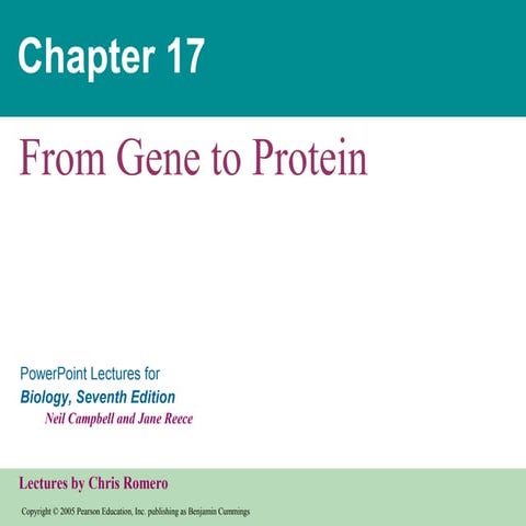 Chapter 17 genetoprotein | PPT