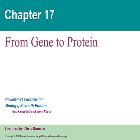 chapter17_fromgene_to_protein (1).ppt..... | PPT