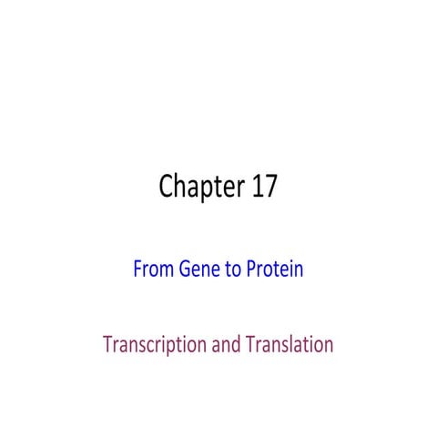 Chapter17genetoprotein 151125150800-lva1-app6892 | PPT