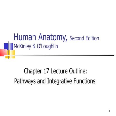Chapter 17, Sp 10 | PPT | Brain and Nervous System Disorders | Diseases and Conditions