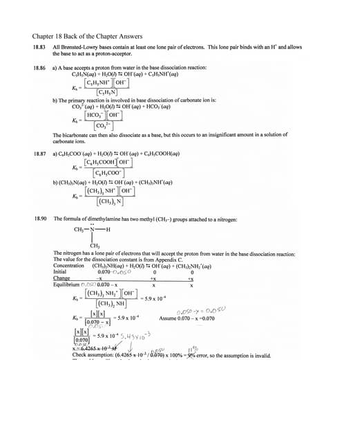 Dynamic Equilibrium | PDF
