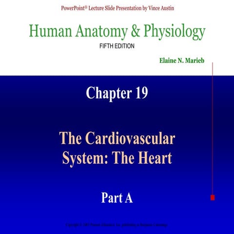 chapter 18 heart.ppt