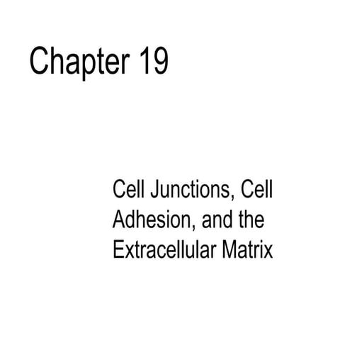 Chapter19 | PPT | Biological Sciences | Science