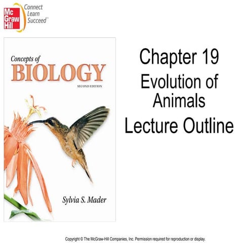 Bio 100 Chapter 19 | PPT