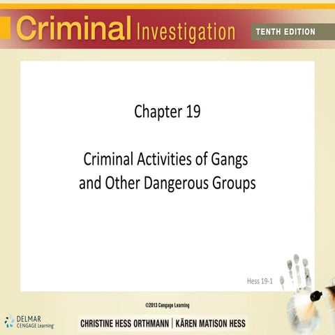 Chapter 19 | PPT