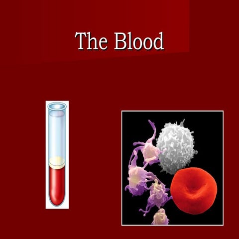 Chapter 19 | PPT