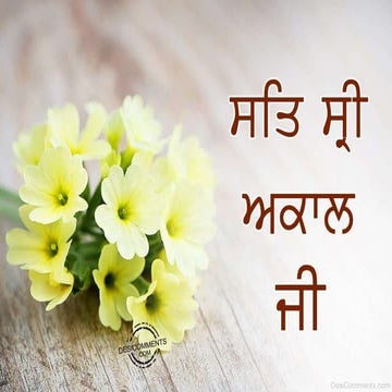 Chapter 1 and 2 mcq question punjabi.pptx