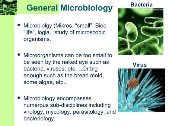 1 introduction to microbiology | PPTX