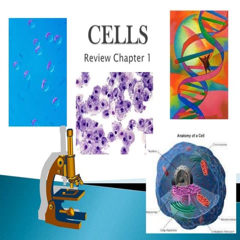 Chapter 1 cell review | PPTX | Biological Sciences | Science