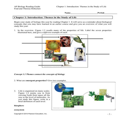 Energy Flow Through An Ecosystem Mastering Biology