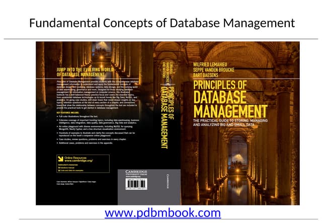 chapter 4 data resource management.docx