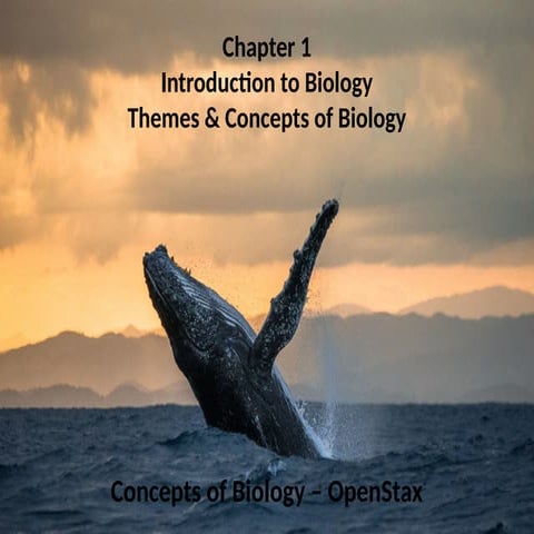 Chapter 1 Introduction into Biology.pptx