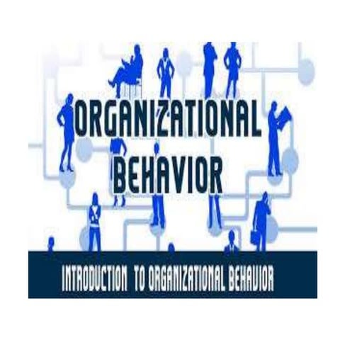 Chapter 1 Introduction to Organizational Behaviour.pptx
