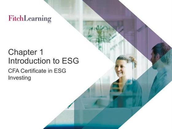 ESG Explained - Introduction | PDF