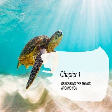 Chapter 1 lesson 1 | PPT