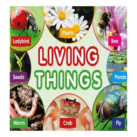 Chapter 1 living things | PDF