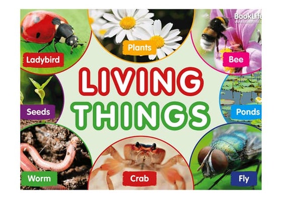 Characteristics of Living Things | PPT | Biological Sciences | Science