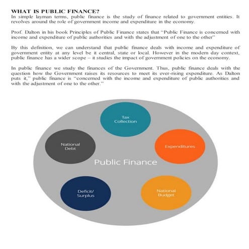 Chapter 1 meaning of public finance | DOCX