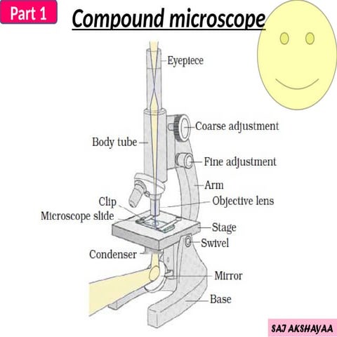 chapter 1 MS.pptx compound microscope cs | PPT