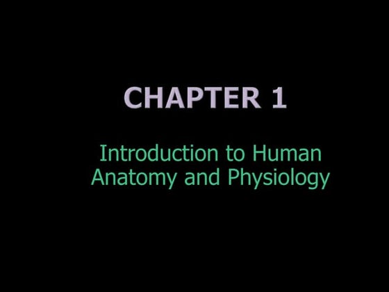 01 [chapter 1 an introduction to the human body] | PPT