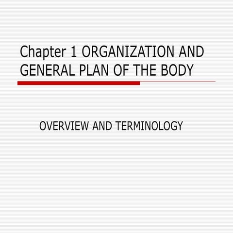 Introduction to Human Anatomy | PPTX