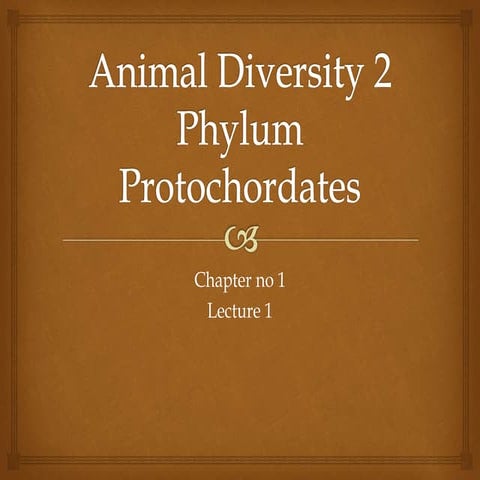 Ascidia - Zoology - exam point of view | PPTX
