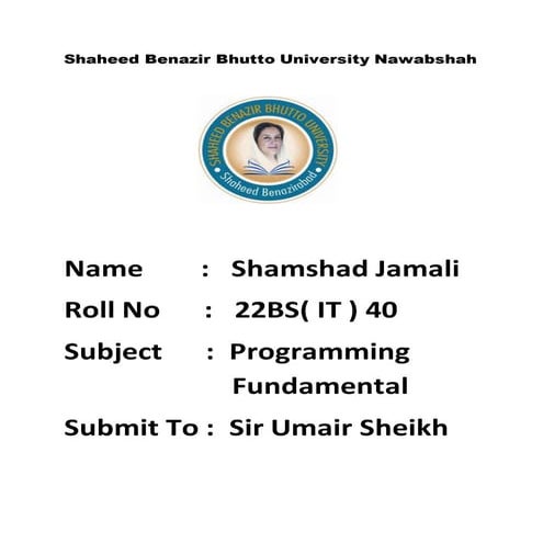 Chapter 1 Programming Fundamentals Assignment Docx