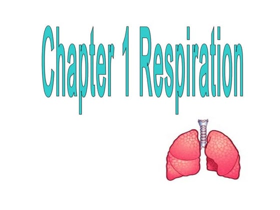 Lung foldables instructions | DOCX | Lung and Respiratory Health ...