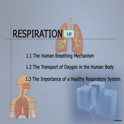 Chapter 1 respirasi | PPT