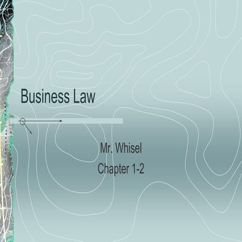 Chap 04 The court System FOR BUSINSS LAW | PPT