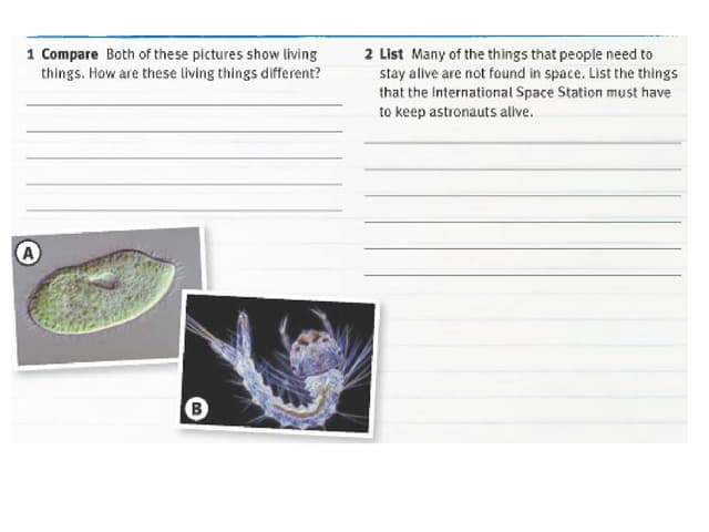 Taxonomy notes pdf | PDF