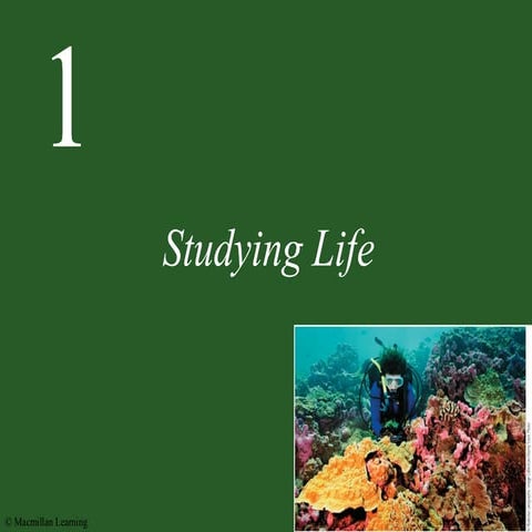 Chapter 1_ Studying Life.pdf this biology lesson that helps students to ...