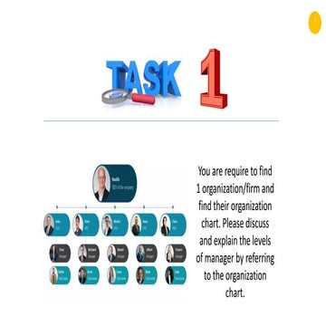 Chapter 1 task 1 | PDF