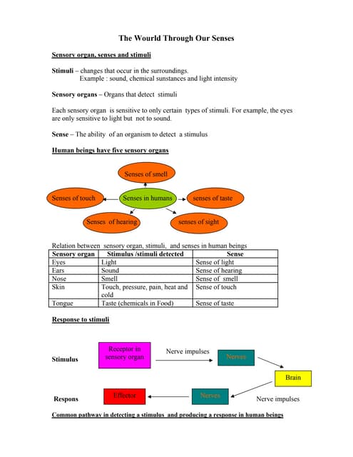 SENSE ORGANS | PPT