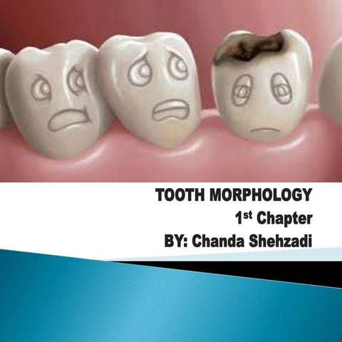 chapter 1 tooth Morpho.pptx