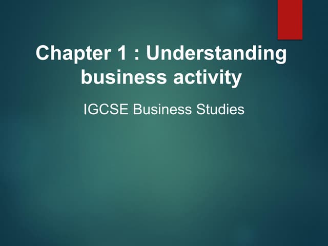 Chapter 1 PowerPoint Business Studies.pptx