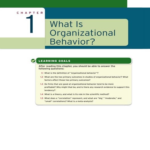 Chapter1 what is_organizational_behavior | PDF