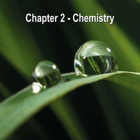 Chapter 2 | PPT | Chemistry | Science