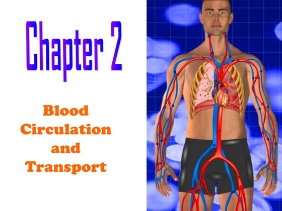 Types of circulation | PPT