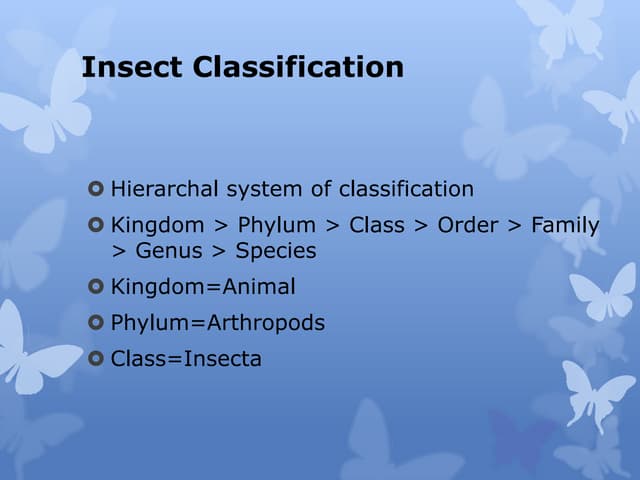 Insects Order hymenoptera | PPTX