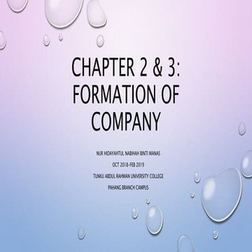 Formation of Company | PPT