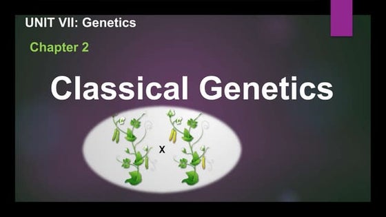 Mendelian genetics 101 | PPT