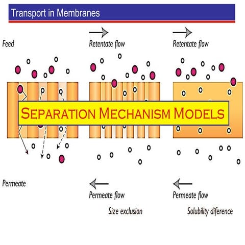 Chapter 2- Membrane (Lec-4).ppt to finish | PPT