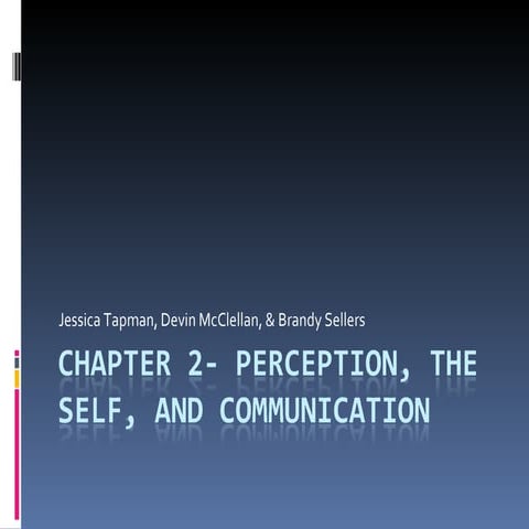 Chapter 2 Perception, The Self, And | PPT