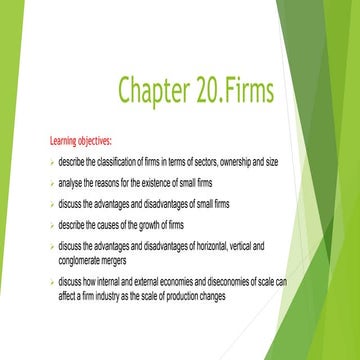 Chapter 20 Firms in IGCSE economics presentation | PDF