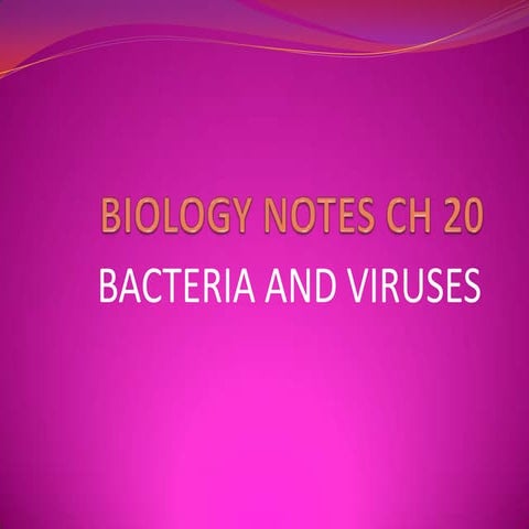 Chapter 20 notes | PPTX