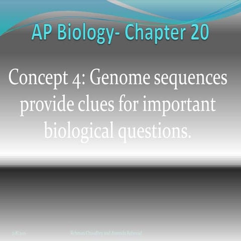 Chapter 20 ppt | PPT